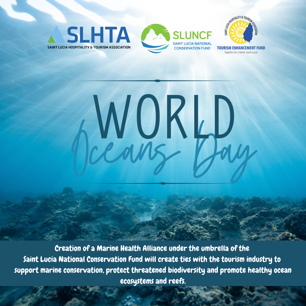 SLHTA and SLUNCF form partnership to enhance marine health in Saint ...